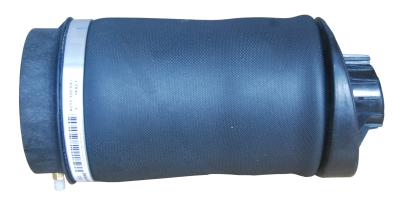 Chine OEM 2513200425 d'arrière de Mercedes-Benz Air Spring Pillow W251/R350 R500 à vendre