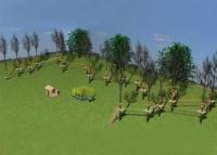 China Forest Adventure Course with 6+ Pole System for Ages 3-16 | CE Certified High Ropes Equipment for sale