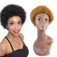 China Cap Size Average Size Afro Kinky Curly Wig with Bangs and Individuality for sale