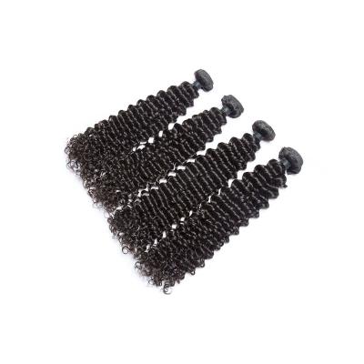 Cina 12-26Inch Grade A Hair Vendors Brazilian Cuticle Aligned Jerry Curly Hair Bundles in vendita