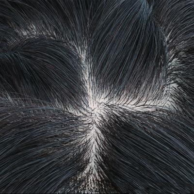Cina 180% Densità Remy Hair Toupee con base in seta Top e 24mm Toupee Texture Lunghezza 30cm in vendita