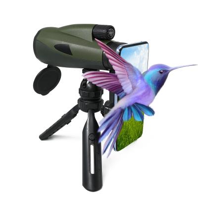 China 12X50 High Power Prism Monocular and Quick Smartphone Holder BAK4 Prism FMC for sale