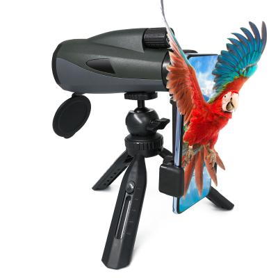 中国 野鳥観察のためのSmartphoneのホールダーのライト級選手が付いている12x60 HDのMonocular望遠鏡 販売のため