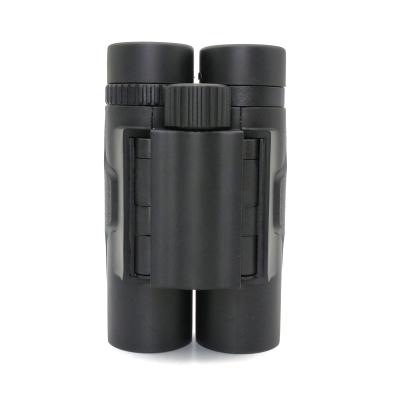 Cina Shockproof Binoculars 10x25 Small Strong Binoculars For Travel in vendita