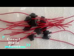 Fuse Holders