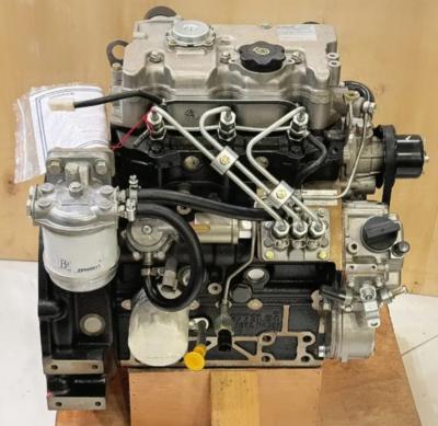 China New Perkins 403D-11  C1.1 Diesel Engine Excavator Engine Parts for sale