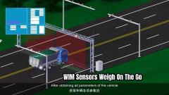 WIM Sensors: Accurate Vehicle Weight In Motion
