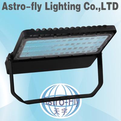 China 150W LED Floodlight for sale