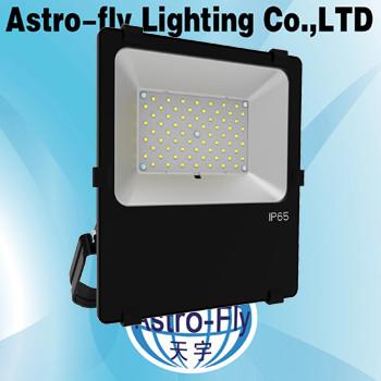China 100W LED Floodlight for sale