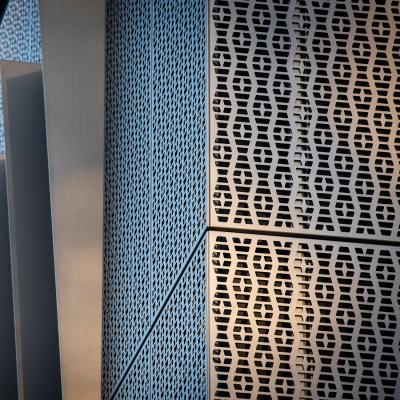 China Poedercoating geperforeerd geperforeerd metalen wandpaneel voor overheidsgebouwen Te koop