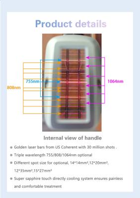 Cina 808nm-810nm Multifunzione macchina di bellezza stile stazionario ROHS TGA approvato in vendita