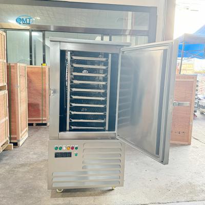 China Voedingsmiddelenindustrie Vinnige vriezer machine roestvrij staal industriële vlamvriezer Te koop