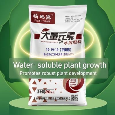 China 19-19-19+Te Water Soluble Fertilizer 20kgs NPK Fertilizer Powder for sale