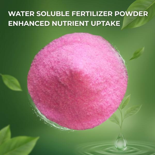 Quality Pink Water Soluble Tomato Fertilizer 25kg NPK 19 19 19 Powder for sale