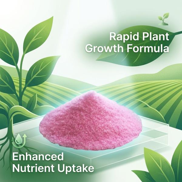Quality Plant Water Soluble NPK Fertilizer High Phosphorus NPK Powder for sale
