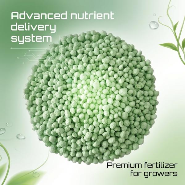 Quality Dry Storage NPK Blend Fertilizer 90%Min Green NPK Granular 25kg for sale