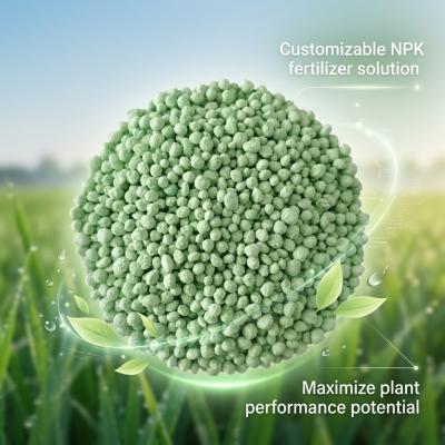 China 15-5-20 NPK Mixture Fertilizer Customized NPK Compound Granular for sale