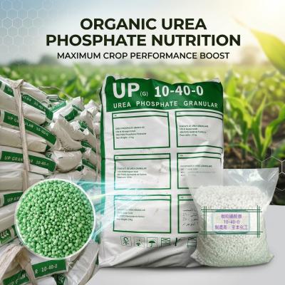 China Nitrogen 17%Min Urea Phosphate White Granular Water Soluble for sale