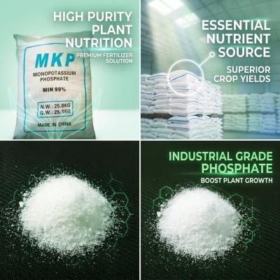 China Industrial Grade MAP Monoammonium Phosphate High Solubility MAP Fertilizer for sale