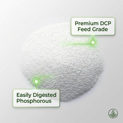China Lowe Arsenic DCP Dicalcium Phosphate DCP Feed For Healthy Livestock Nutrition for sale