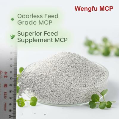 China Feed Supplement MCP Monocalcium Phosphate Food Ca(H2PO4)2.H2O for sale