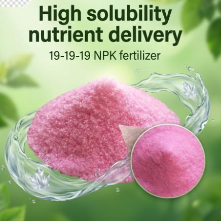 Quality Customizable 5kg/Bag Water Soluble Fertilizer NPK19-19-19 TE For All Crops for sale