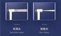 China 2 Function Adjustable Flow ABS Material Hand Spray Shower Bidet Staffa for Bathroom for sale
