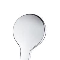 China Single-function Handheld Pressurized Electroplating Shower Head for Exposed B S Faucet for sale