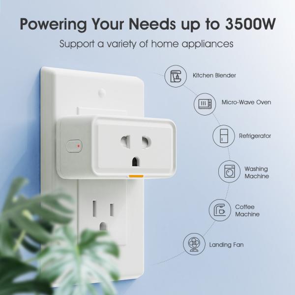 Quality Tuya socket Timing Power Monitor Smart Life Alexa Google Home WIFI Smart Plug for sale