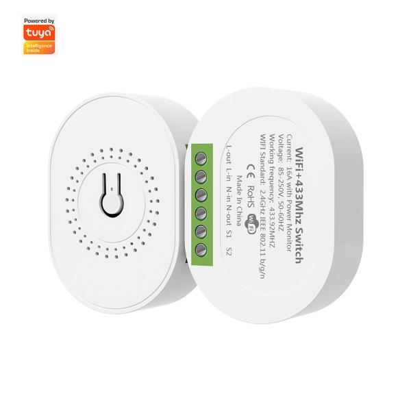 Quality SMATRUL 16A Smart Power Monitor Breaker Tuya WiFi & RF433 Wireless Switch Mini 2-Way ModuleTimer Work with Google Home & Alexa for sale
