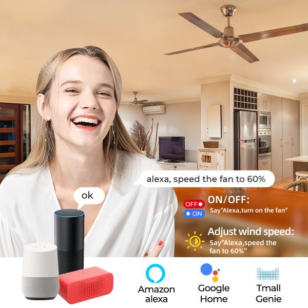 Quality SMATRUL Tuya WiFi Smart Fan Speed Regulation DIY Mini Switch Module Remote for sale