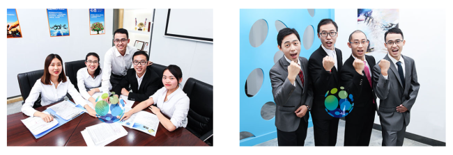 Safegas technology demonstration