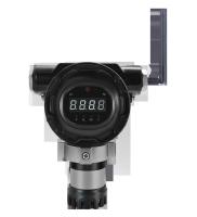 China Explosion Proof Fixed H2S Gas Detector IECEX ATEX CE IP66 4-20mA RS485 for sale