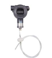 China Explosion Proof Fixed H2S Gas Detector IECEX ATEX CE IP66 4-20mA RS485 for sale