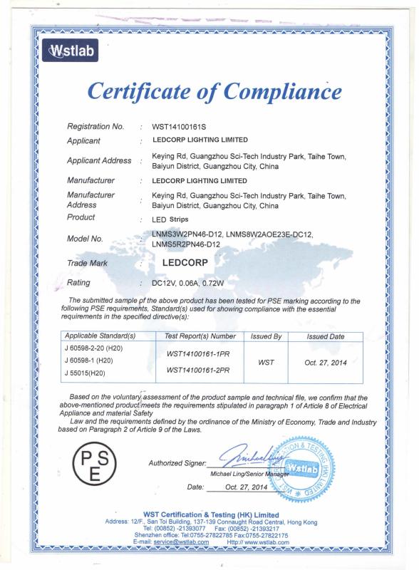 CE - LEDCORP LIGHTING LIMITED