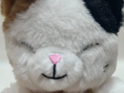 China Falando o gato de chita, repete o que você diz o gato de chita animal de Toy Electronic do luxuoso para meninos, meninas & presente do bebê. à venda