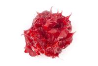 China Design Dustproof White and Red Lithium Complex Grease for Industrial Applications for sale