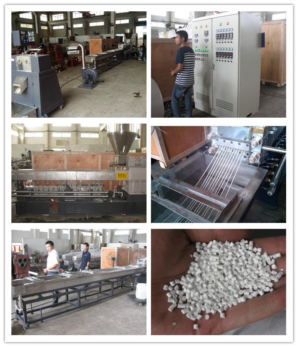 CE Compounding parallel co-rotation twin screw extruder