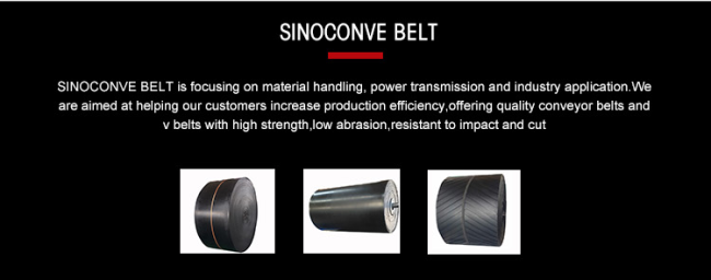 conveyor belt vulcanizing press