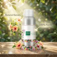 China 278 Popular Multi Scent Aromatherapy Essential Oils For Aroma Diffuser for sale