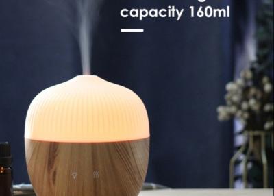 Cina umidificatore domestico ultrasonico matto di plastica dell'olio essenziale di aromaterapia di USB degli oli essenziali di 160ml USB in vendita