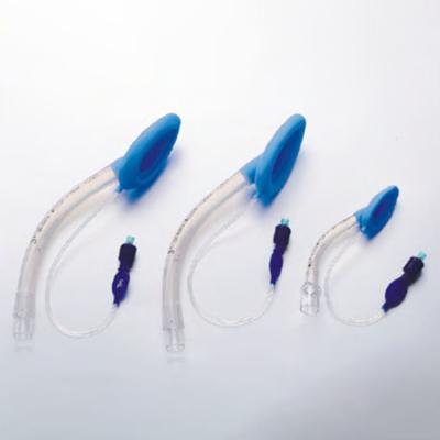 Cina High quality pvc laryngeal mask airway customizable pvc double laryngeal mask airway in vendita
