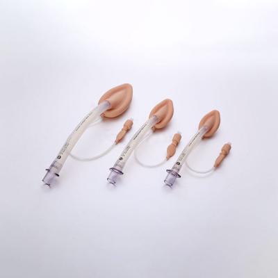 Cina High quality pvc laryngeal mask airway customizable pvc double laryngeal mask airway in vendita