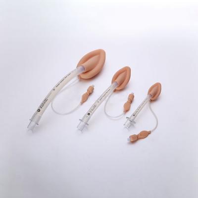 Cina High quality pvc laryngeal mask airway customizable pvc double laryngeal mask airway in vendita