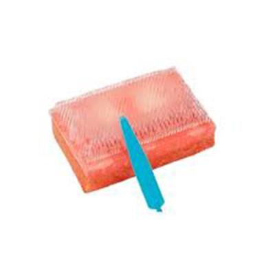 Cina Disposable Infection Prevention Supplies  Surgical Scrub Brushes in vendita
