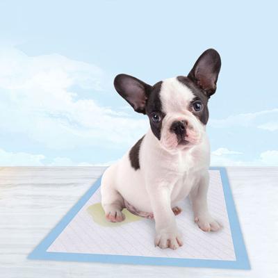 Cina Comfortable Cheap Disposable Pet Training Pads Pet Pee Pad in vendita