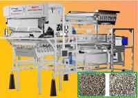 China Melon Seeds Color Sorter 8.75kw 220V High Output Sorting Machine with Microsoft Software for sale