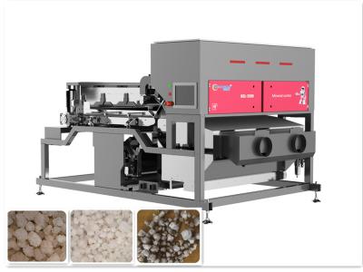 Cina 1 - le particelle del sale grosso di 8cm colorano il selezionatore con la valvola d'accensione principale dello spruzzo in vendita