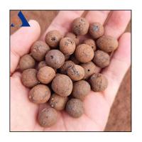 China LECA for Aquaponics Expanded Clay Balls Hydroton for sale