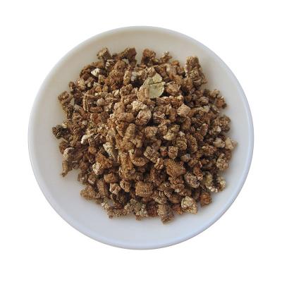 中国 ワルミキュライト の 増殖 ― 花 と 植物 の 栽培 を 成功 する の の 鍵 販売のため